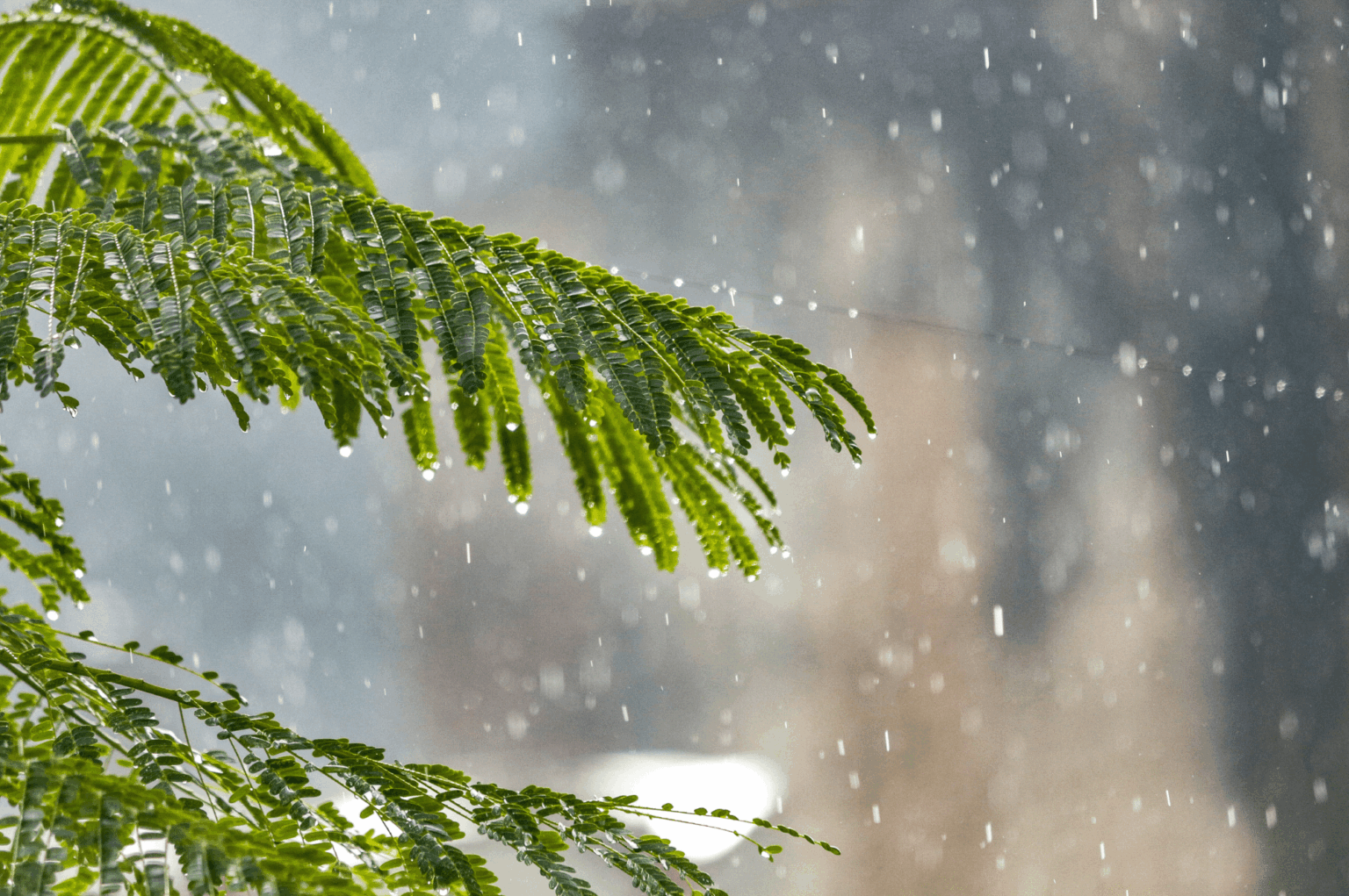 Tropical weather systems and flood risk | JBA Global Resilience